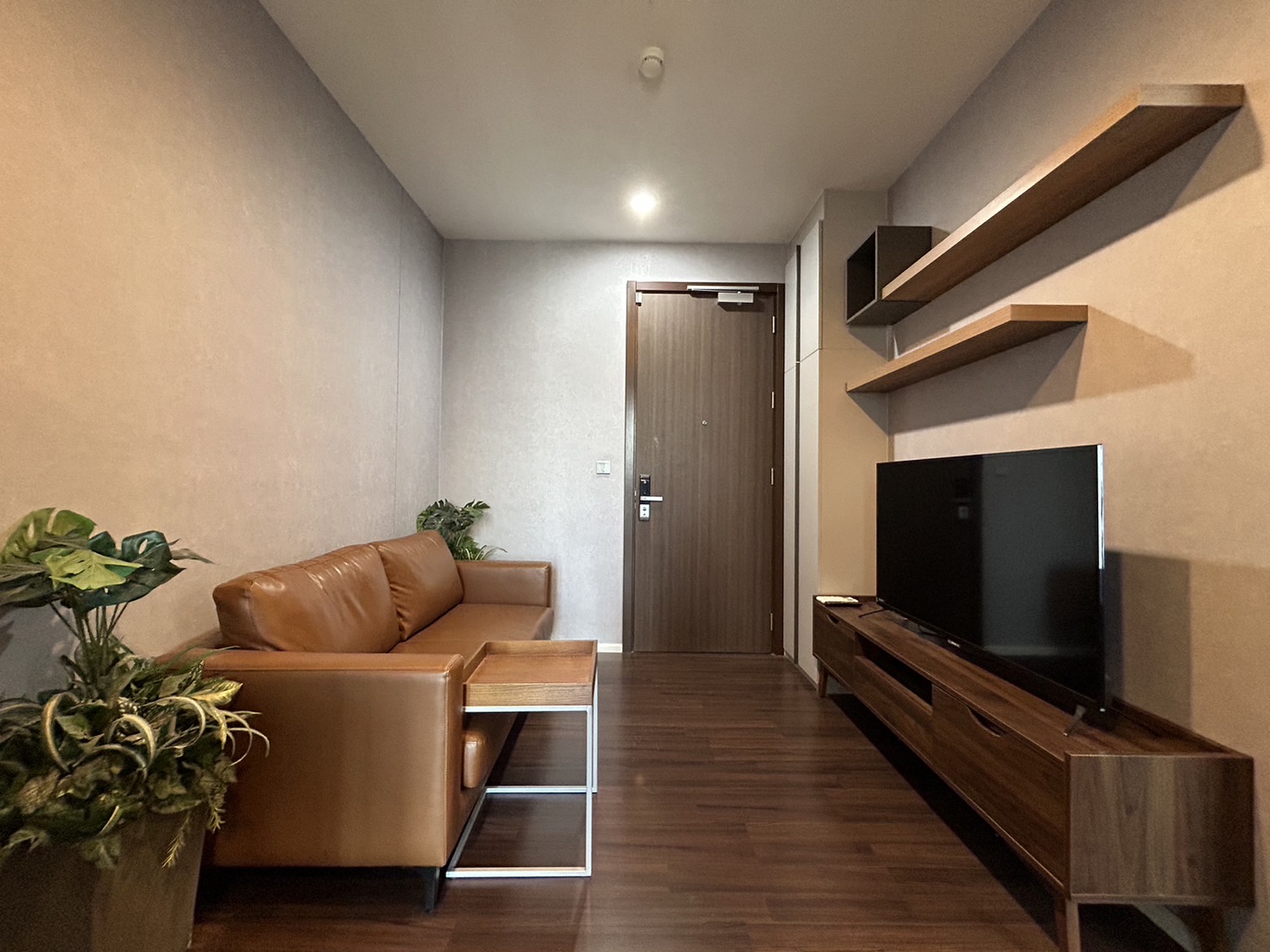 หน้าแรก - Amber International